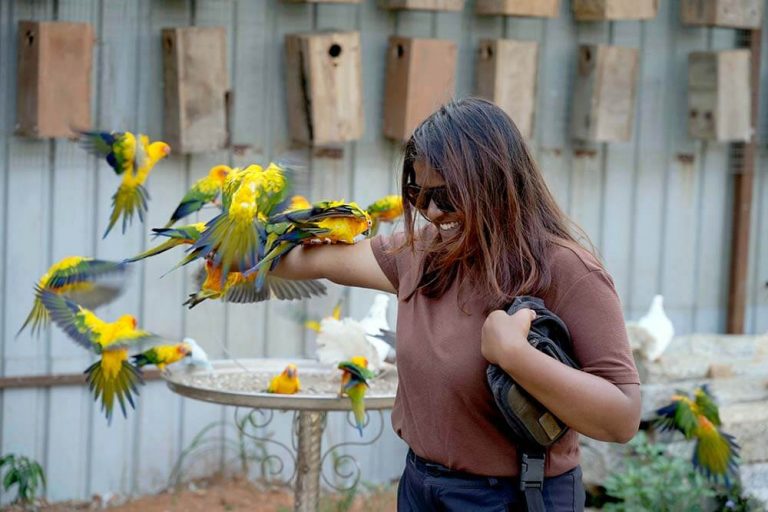 Gallery - Birds of Paradise Foundation