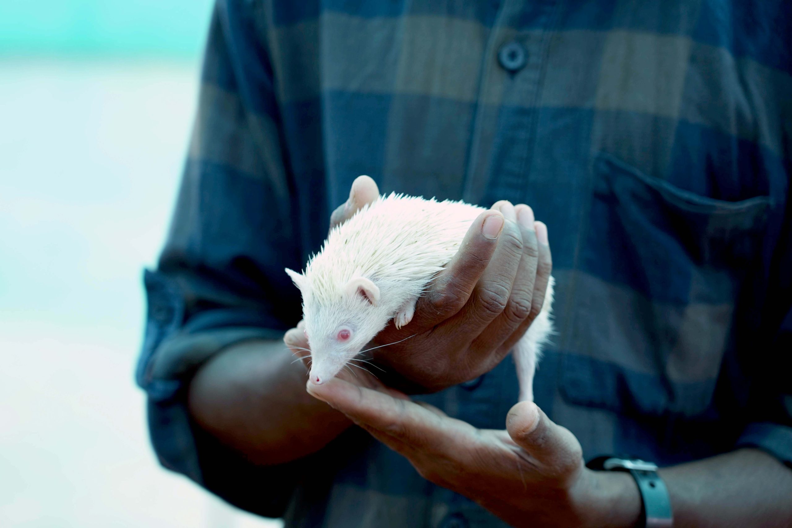 Our Family - Birds of Paradise Foundation