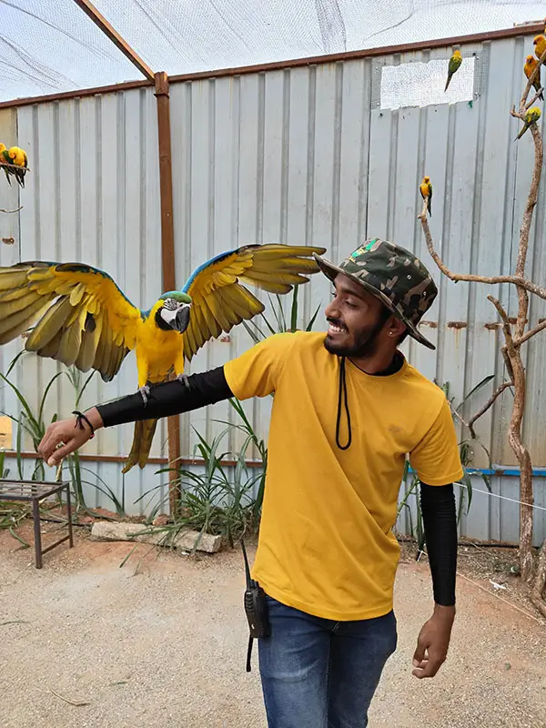 Explore the Enchanting World of Bird of Paradise (Foundation) NGO
