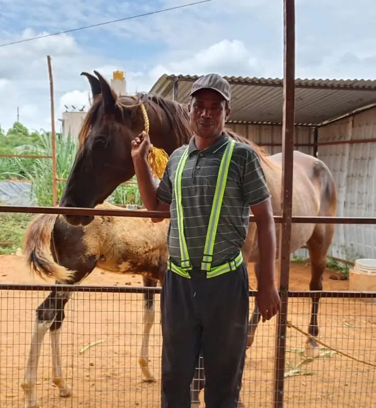 Explore the Enchanting World of Bird of Paradise (Foundation) NGO